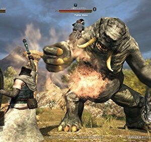 Dragons Dogma Online Limited Edition