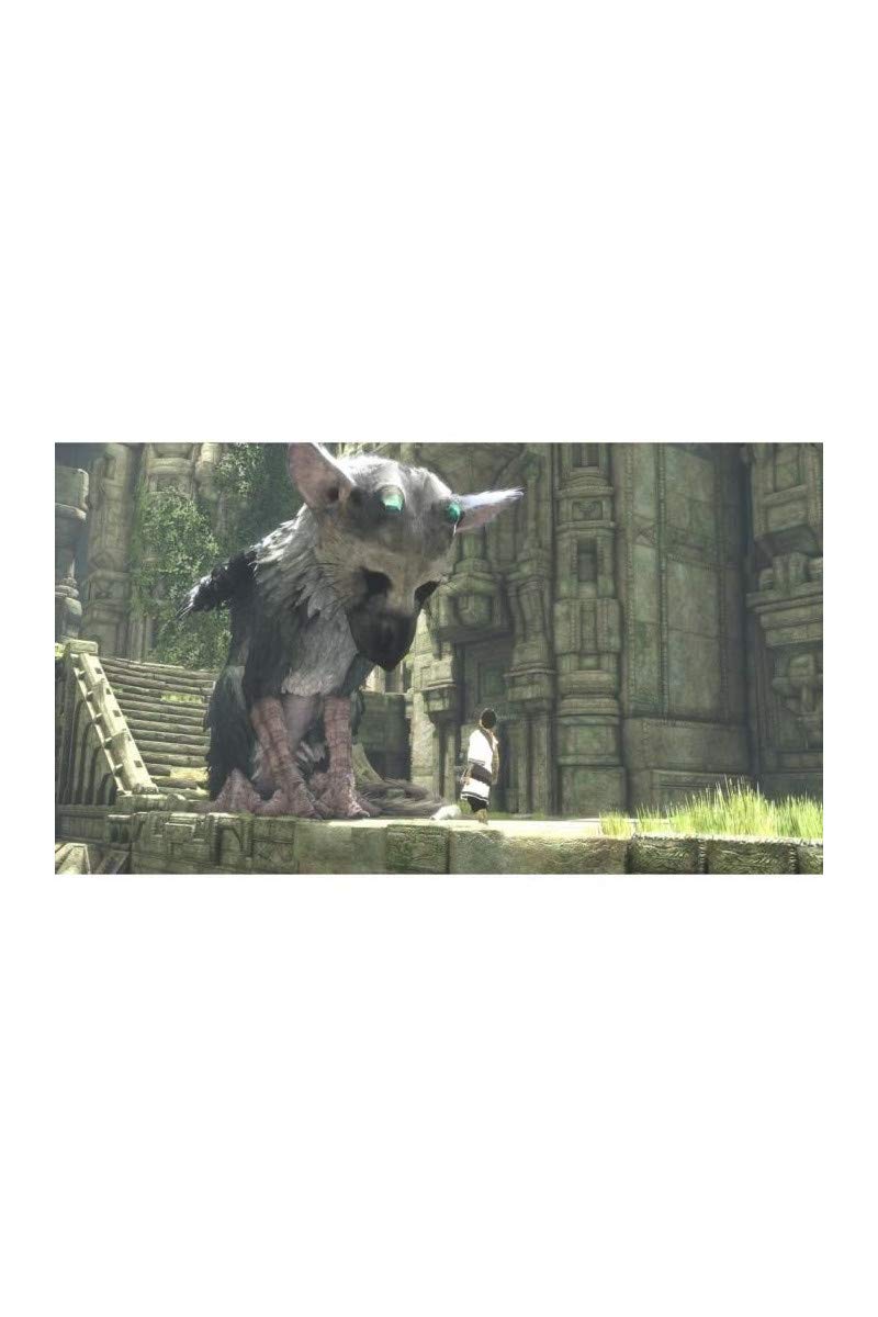 LAST GUARDIAN - PS4 nv prix