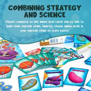 Genius Games Peptide: A Protein Building Game | A Strategy Card Game with Accurate Science for Gamers and Teachers | Teaches Amino Acids, mRNA, Organelles