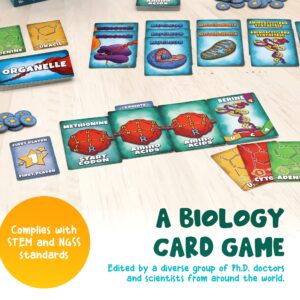 Genius Games Peptide: A Protein Building Game | A Strategy Card Game with Accurate Science for Gamers and Teachers | Teaches Amino Acids, mRNA, Organelles