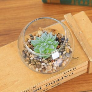 EaSinESS 11 Pcs Artificial Succulent Plants Unpotted Assorted Faux Succulent Fake Succulent Picks for Floral Arrangement Home Decoration