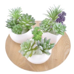 EaSinESS 11 Pcs Artificial Succulent Plants Unpotted Assorted Faux Succulent Fake Succulent Picks for Floral Arrangement Home Decoration