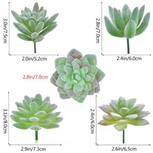 EaSinESS 11 Pcs Artificial Succulent Plants Unpotted Assorted Faux Succulent Fake Succulent Picks for Floral Arrangement Home Decoration