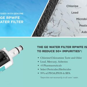 GE RPWFE2PK RPWFE Refrigerator Water Filter, Certified to Reduce Lead, Sulfur, and 50+ Other Impurities, Replace Every 6 Months for Best Results, Pack of 2, 2 Count (Pack of 1), White