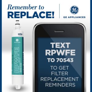 GE RPWFE2PK RPWFE Refrigerator Water Filter, Certified to Reduce Lead, Sulfur, and 50+ Other Impurities, Replace Every 6 Months for Best Results, Pack of 2, 2 Count (Pack of 1), White