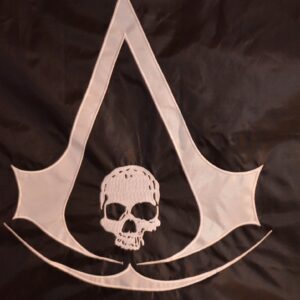 Assassin's Creed IV 4 Black Flag from Limited Collector's Edition