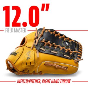 Franklin Sports Baseball and Softball Glove - Field Master - Baseball and Softball Mitt , 12" - Trapeze Web, Tan