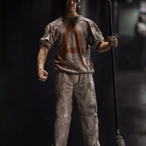 McFarlane Toys The Walking Dead TV Savior Prisoner Daryl Collectible Action Figure