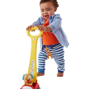 Fisher-Price Laugh & Learn Puppy's Smart Stages Push Car