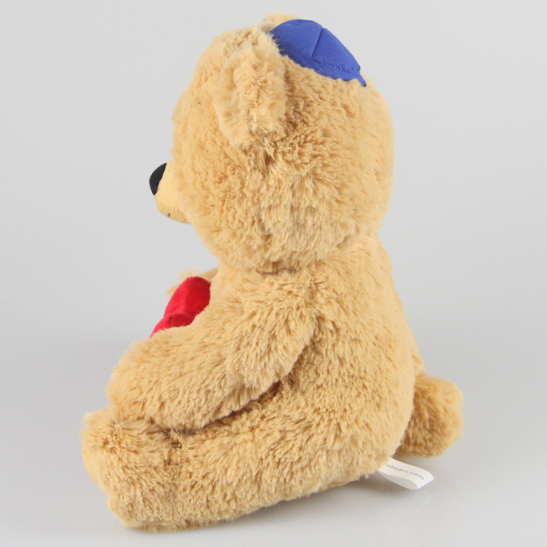 Hollabears 10" is U Jewish? Cuz U Israeli Hot Teddy Bear Hanukkah Plush