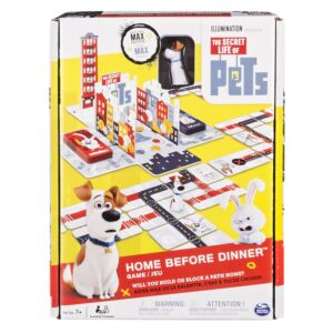 sfp magnet maze board game