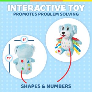 Buckle Toys - Barkley Dog - Plush Animal Learning Toy - Develop Fine Motor Skills - Counting and Color Recognition Stuffed Animal - Perfect Travel Toddlers Essentials