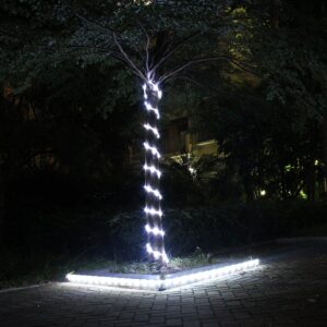 LTE 33ft 100 LED Solar Rope Lights, Outdoor Waterproof Solar Rope Lights, Ideal for Decorations,Christmas,Gardens, Lawn, Patio, Weddings, Parties.(Daylight White)