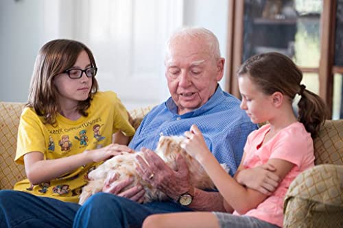 JOY FOR ALL Companion Pet for Seniors - Lifelike Animatronic Cat - Realistic Soft-Touch Fur & Purring - Therapy Stuffed Animal - Toy for Alzheimer's & Dementia - Orange Tabby