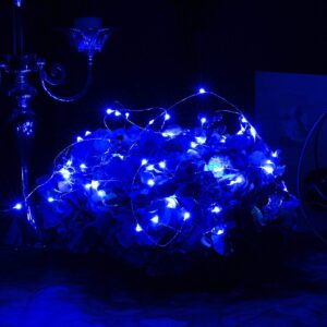 ER CHEN Dimmable LED String Lights Plug in, 99 FT 300 LED Blue Fairy Lights with Remote, Indoor/Outdoor Copper Wire Christmas Decorative Lights for Bedroom, Patio, Garden, Party