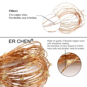 ER CHEN Dimmable LED String Lights Plug in, 99 FT 300 LED Blue Fairy Lights with Remote, Indoor/Outdoor Copper Wire Christmas Decorative Lights for Bedroom, Patio, Garden, Party