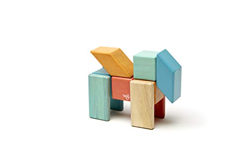 24 Piece Tegu Magnetic Wooden Block Set, Sunset, 1-99 years old