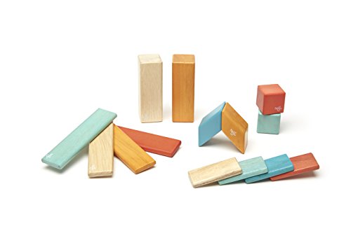 14 Piece Tegu Magnetic Wooden Block Set, Sunset