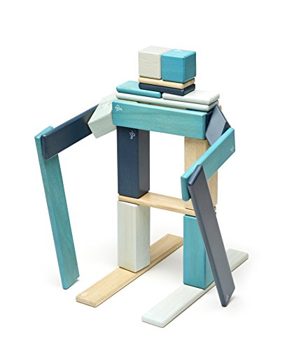 24 Piece Tegu Magnetic Wooden Block Set, Blues, 1-99 years old