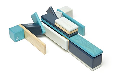 24 Piece Tegu Magnetic Wooden Block Set, Blues, 1-99 years old