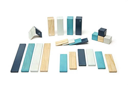 24 Piece Tegu Magnetic Wooden Block Set, Blues, 1-99 years old