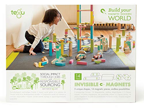 14 Piece Tegu Magnetic Wooden Block Set, Sunset