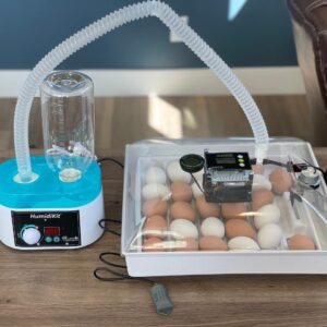 Incubator Warehouse HumidiKit™ with Digital Hygrostat - Auto Humidifier with 1L Water Bottle - Humidity Controller for All Types of Eggs - Automatic Humidity System Compatible with Most Incubators