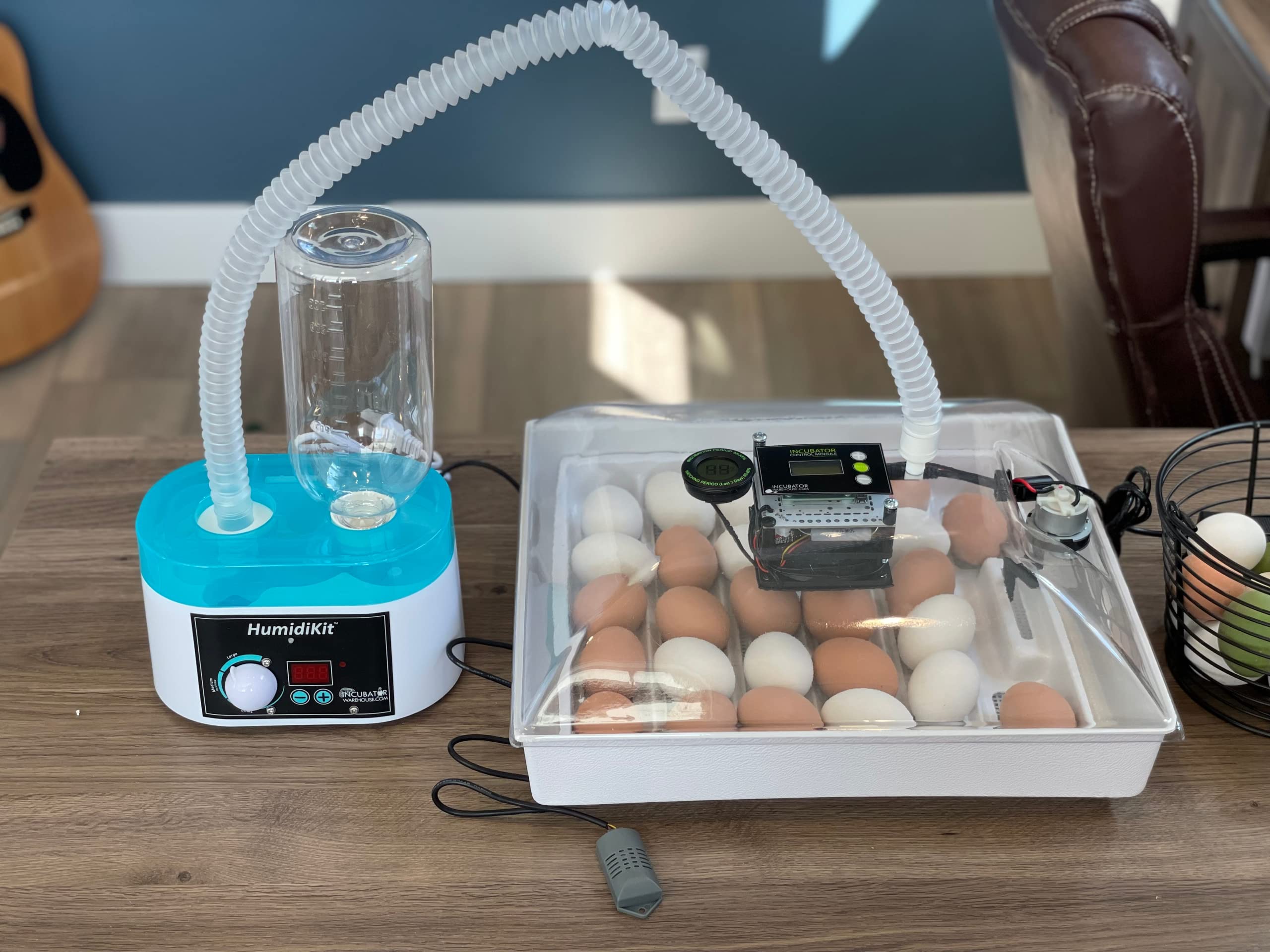 Incubator Warehouse HumidiKit™ with Digital Hygrostat - Auto Humidifier with 1L Water Bottle - Humidity Controller for All Types of Eggs - Automatic Humidity System Compatible with Most Incubators