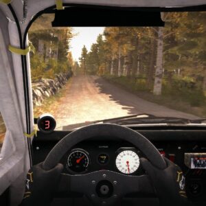 Dirt Rally Legend Edition (PS4)