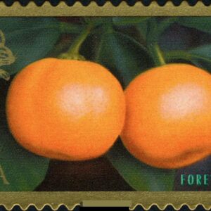 USPS Celebrating Lunar New Year (Chinese New Year)(Year of The Rabbit) Kumquats (Sheet of 12) Postage Forever Stamps 2011 Scott #4492