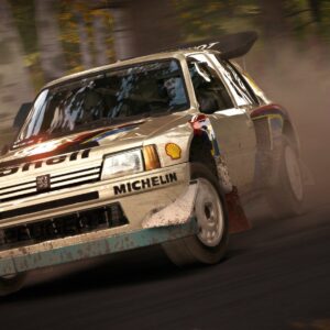 Dirt Rally Legend Edition (PS4)