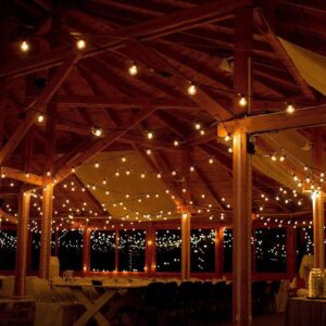 Hometown Evolution, Inc. 25 Foot G50 White Pearl Wedding String Lights with White Wire and G50 2 Inch 7 Watt Globe Bulbs for Parties, Patios, Backyards, Tents and More