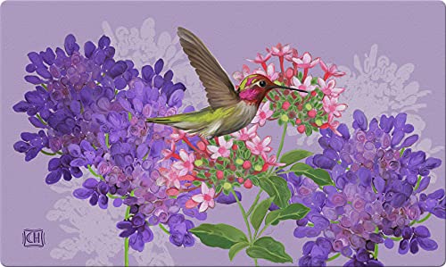 Toland Home Garden 800238 Hummingbird and Flowers Summer Door Mat 18x30 Inch Bird Outdoor Doormat for Entryway Indoor Entrance