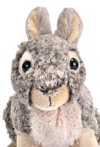 Wild Republic Bunny Plush, Stuffed Animal, Plush Toy, Gifts for Kids, Cuddlekins 8 Inches