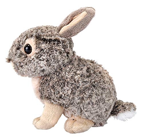 Wild Republic Bunny Plush, Stuffed Animal, Plush Toy, Gifts for Kids, Cuddlekins 8 Inches