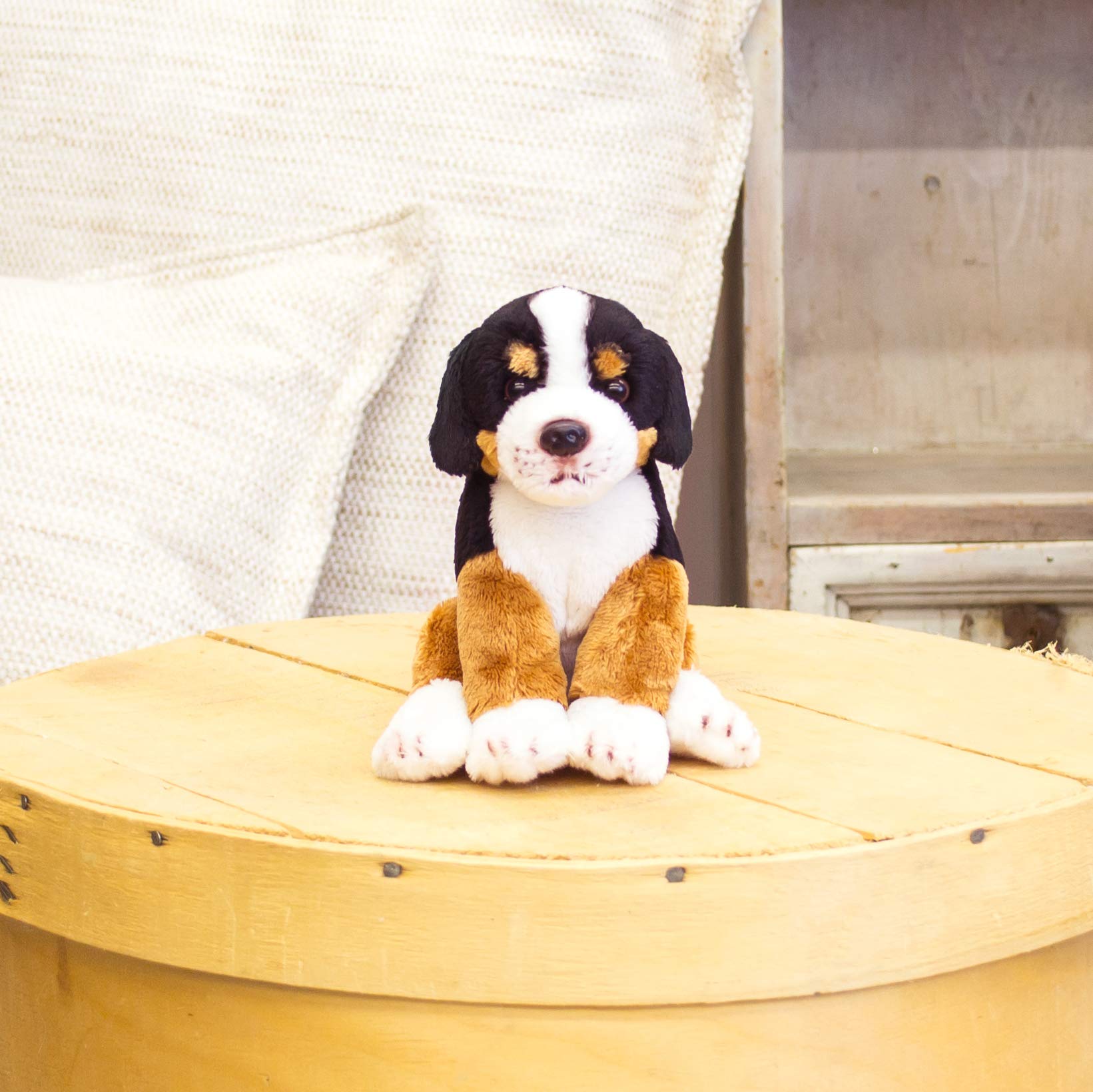 DEMDACO Bernese Mountain Dog Children's Plush Beanbag Stuffed Animal Toy