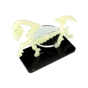 litko skeletal steed character mount | warhorse skeleton | role playing games | compatible with dungeons & dragons and pathfinder games (ivory, 25x50mm rectangular base)