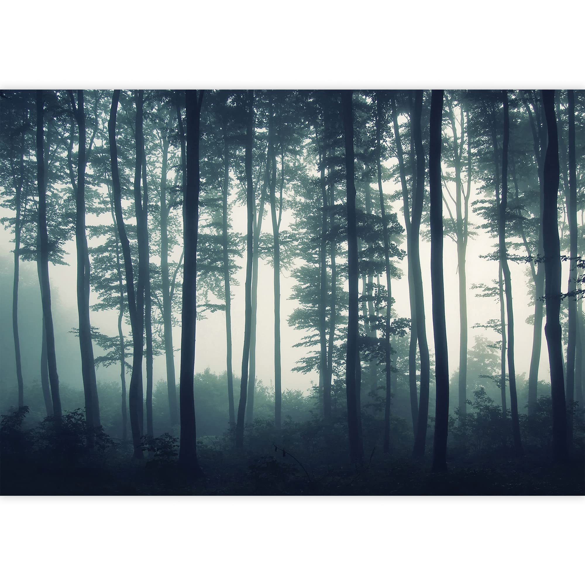 wall26 - Landscape Mural of a Misty Forest - Wall Mural, Removable Sticker, Home Decor - 100x144 inches