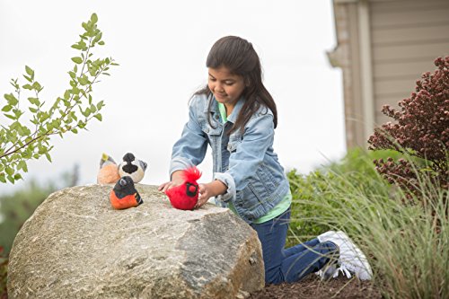 Wild Republic Audubon Birds Northern Cardinal Plush with Authentic Bird Sound, Stuffed Animal, Bird Toys for Kids and Birders