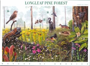 longleaf pine forest (nature of america), full sheet of 10 x 34-cent postage stamps, usa 2001, scott 3611