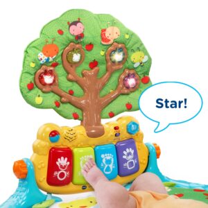 VTech Baby Lil' Critters Musical Glow Gym