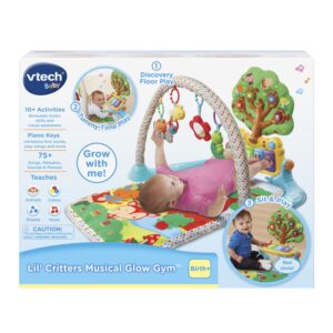 VTech Baby Lil' Critters Musical Glow Gym