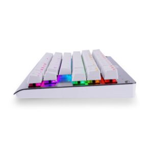 MechanicalEagle Z-77 75% Mechanical Keyboard | Aluminium Panel | Clicky Blue Switches | Rainbow LED Backlit | N-Key Rollover | 87-Key Tenkeyless | Hot Swappable |Spare Switches Included