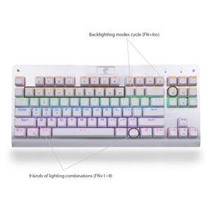 MechanicalEagle Z-77 75% Mechanical Keyboard | Aluminium Panel | Clicky Blue Switches | Rainbow LED Backlit | N-Key Rollover | 87-Key Tenkeyless | Hot Swappable |Spare Switches Included