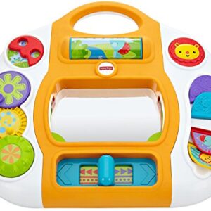 Fisher-Price Rainforest Friends Activity Panel