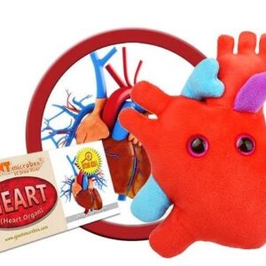 GIANTmicrobes Heart Plush, Heart Stuffed Animal, Heart Transplant Gifts, Heart Toy, Anatomical Heart Gifts, Cardiologist Gifts, Cardiology Gifts, Open Heart Surgery Gifts, Heart Attack Survivor Gifts