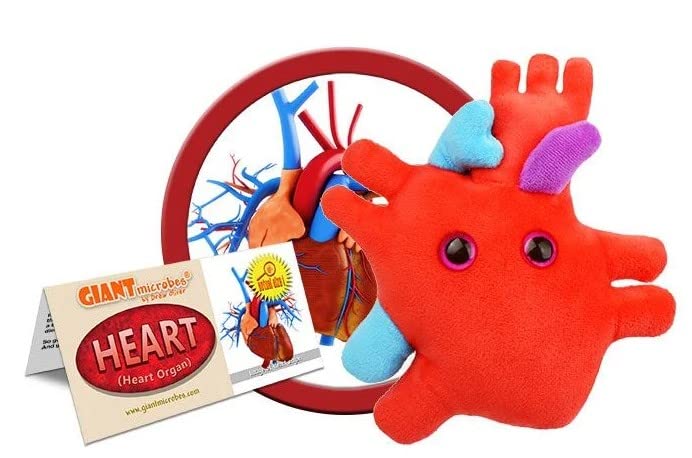 GIANTmicrobes Heart Plush, Heart Stuffed Animal, Heart Transplant Gifts, Heart Toy, Anatomical Heart Gifts, Cardiologist Gifts, Cardiology Gifts, Open Heart Surgery Gifts, Heart Attack Survivor Gifts