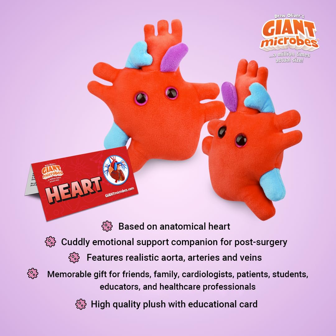 GIANTmicrobes Heart Plush, Heart Stuffed Animal, Heart Transplant Gifts, Heart Toy, Anatomical Heart Gifts, Cardiologist Gifts, Cardiology Gifts, Open Heart Surgery Gifts, Heart Attack Survivor Gifts