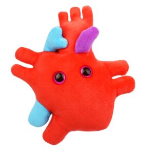 giantmicrobes heart plush, heart stuffed animal, heart transplant gifts, heart toy, anatomical heart gifts, cardiologist gifts, cardiology gifts, open heart surgery gifts, heart attack survivor gifts