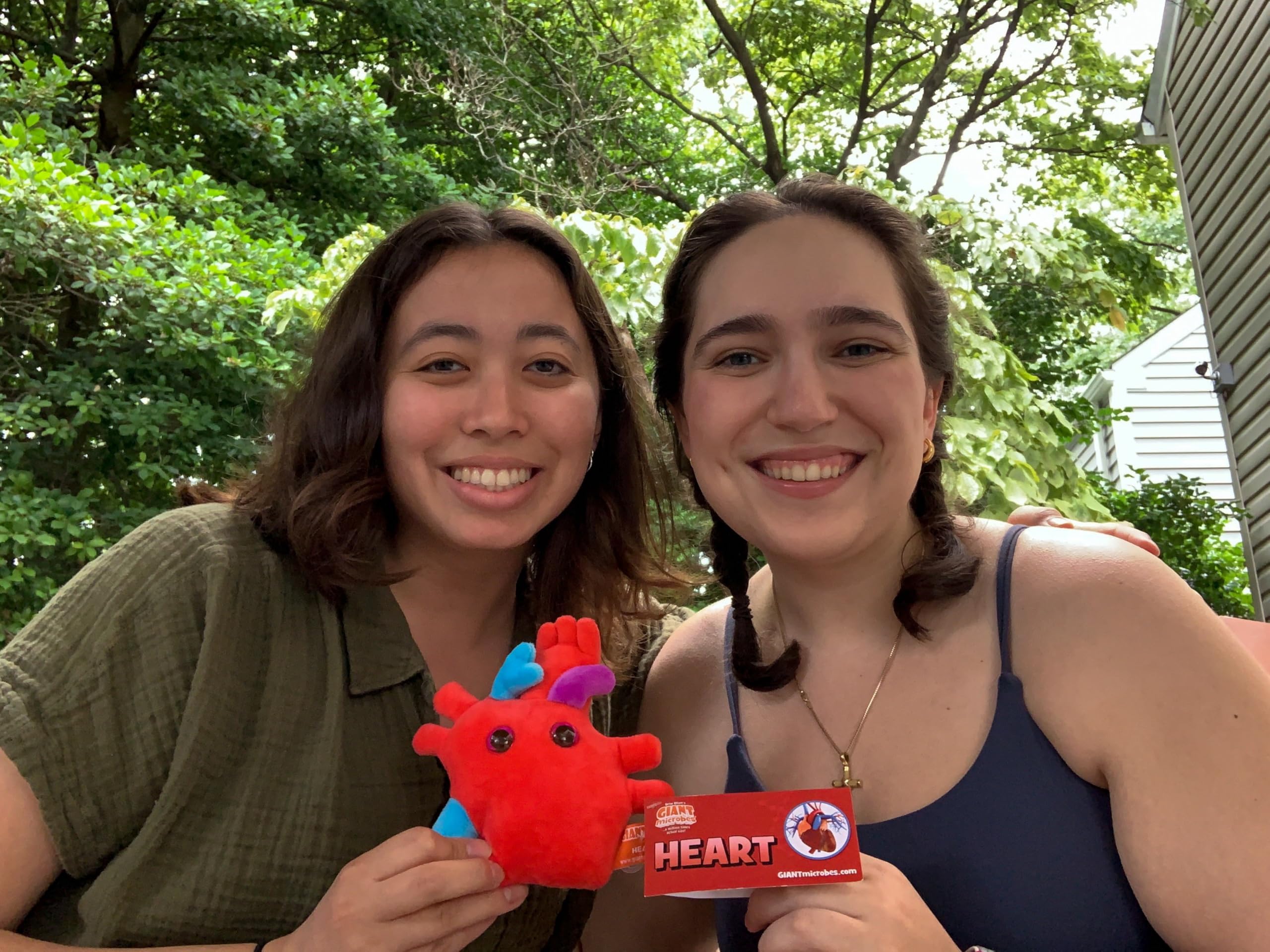 GIANTmicrobes Heart Plush, Heart Stuffed Animal, Heart Transplant Gifts, Heart Toy, Anatomical Heart Gifts, Cardiologist Gifts, Cardiology Gifts, Open Heart Surgery Gifts, Heart Attack Survivor Gifts